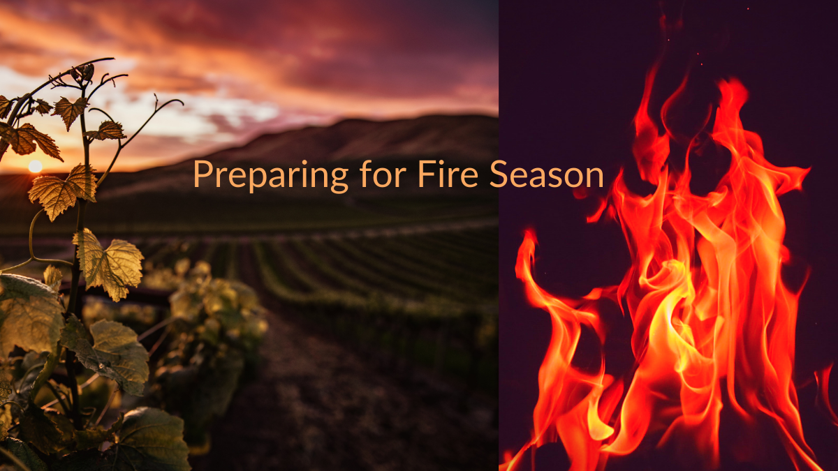 Fire Season Archives - WINERY CONSULTING
